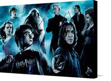 Harry Potter Prince Poster Exclusive Edition Harry Potter Prince Canvas ...