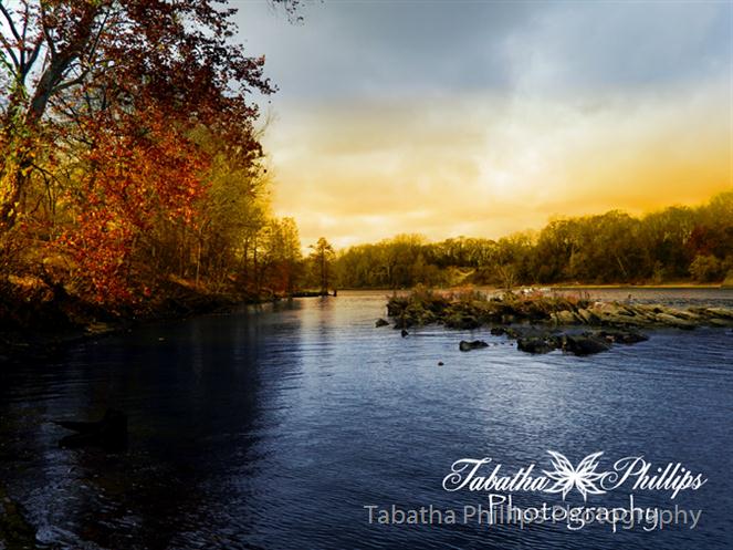 Alabama River by Tabatha Phillips Photography