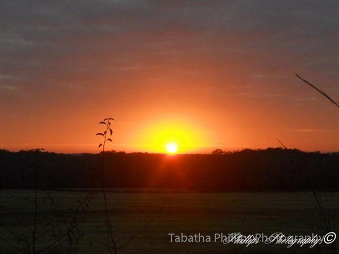 Alabama Sunset by Tabatha Phillips Photography