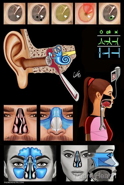 Ear, Nose, and Sinuses by Padre Health
