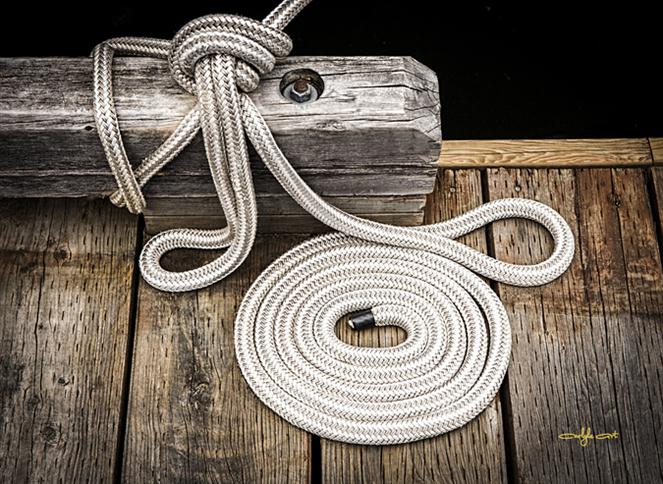 Good Rope ! Stay by Carlyle Art