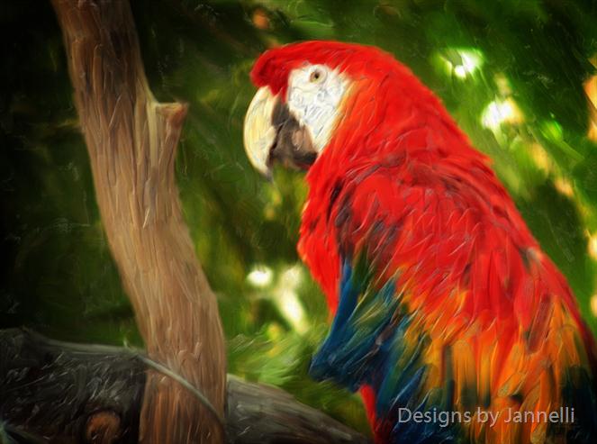 Guacamaya by Designs by Jannelli