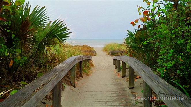 Walkway To Paradise by beachbummedia