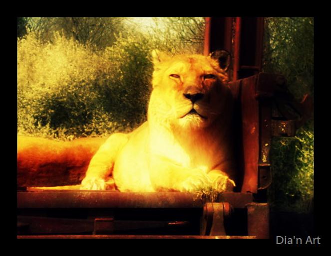 Wild Queen by Dia'n Art