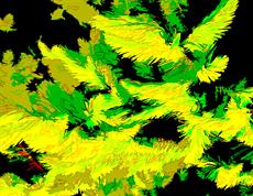 FEATHER EXPLOSION Ldt Ed of 10 by BENT AND TWISTED STUDIOS