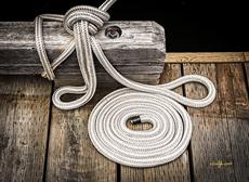 Good Rope ! Stay by Carlyle Art