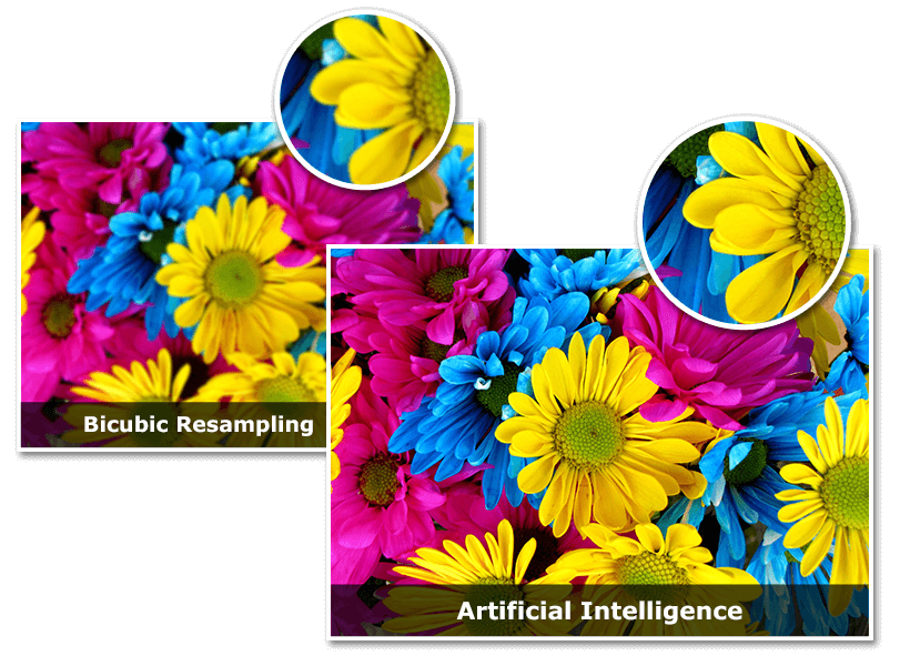 Create a Puzzle from a Picture | Custom Puzzle Maker